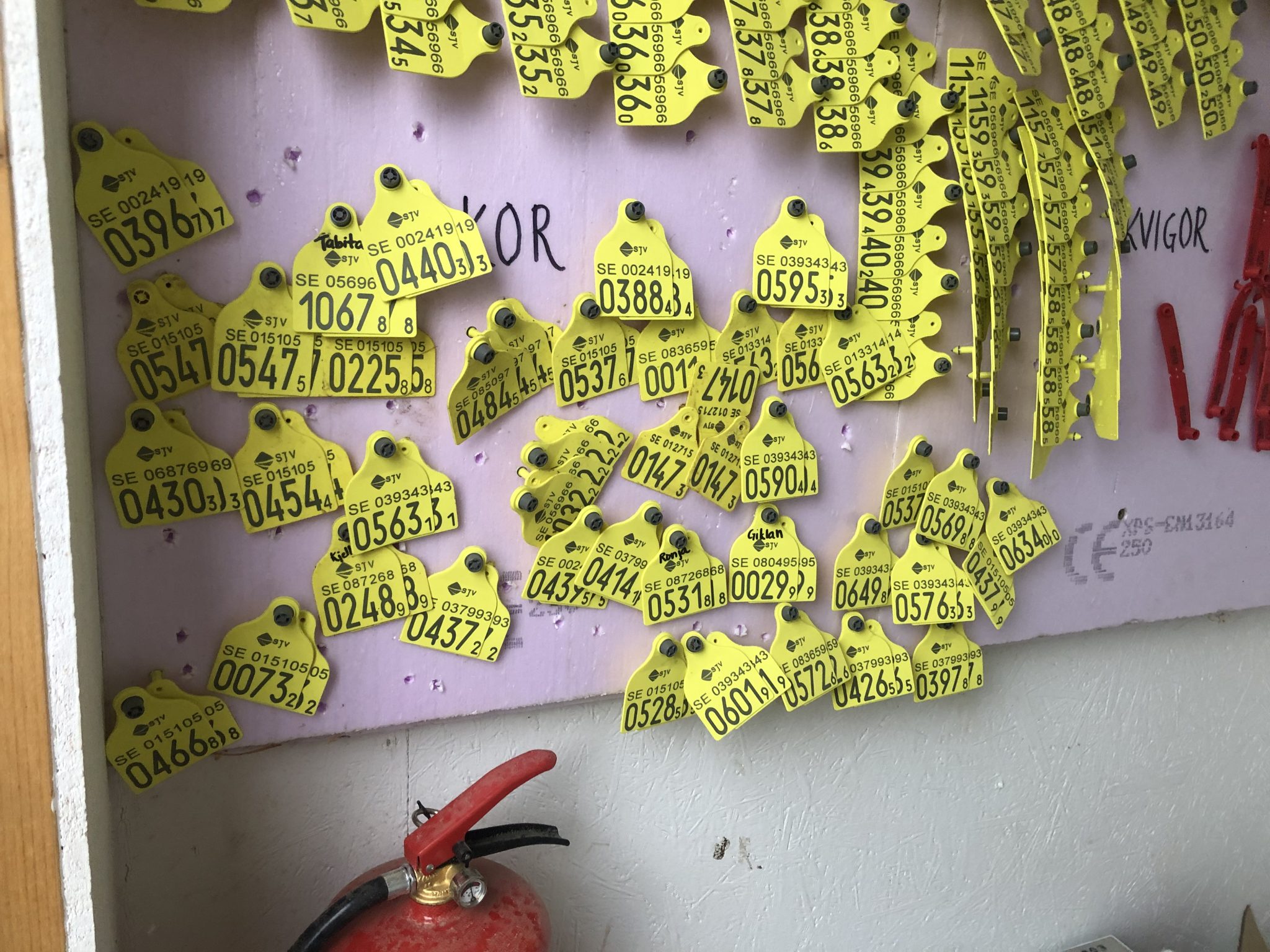 Nysäter lantbruk | Lycka är ett gäng gula lappar | ATL