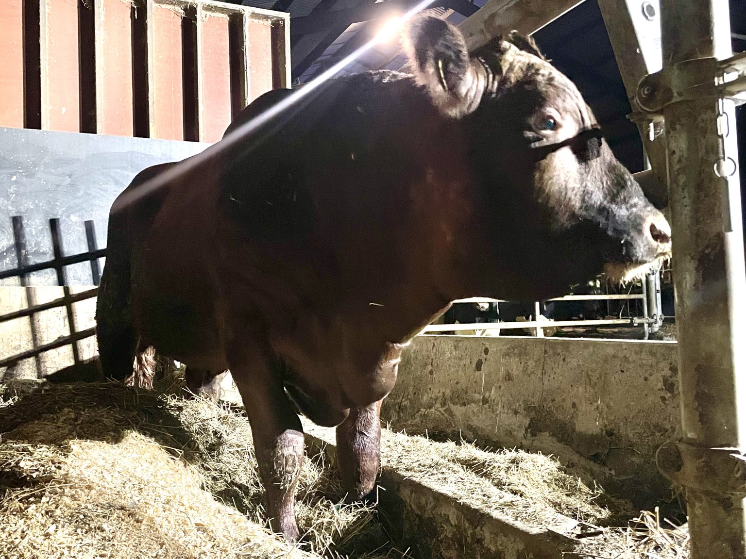 Nysäter lantbruk | Stackars lilla 7370 | ATL